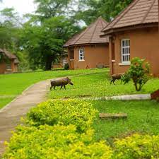 Explore The Beauty Of Yankari Reserve And Nine More Enchanting Spots ...