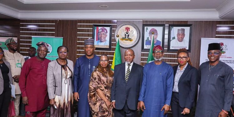 Nigeria and South Africa Forge Strategic Mining Alliance to Power ...