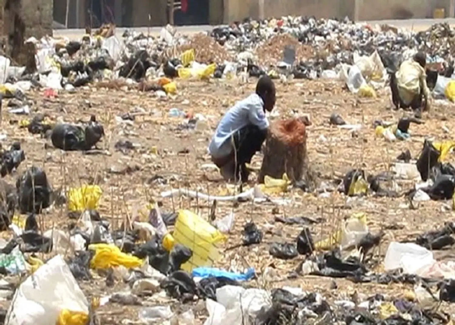 Only 142 LGAs In Nigeria Achieve Open Defecation-Free Status – Clean ...