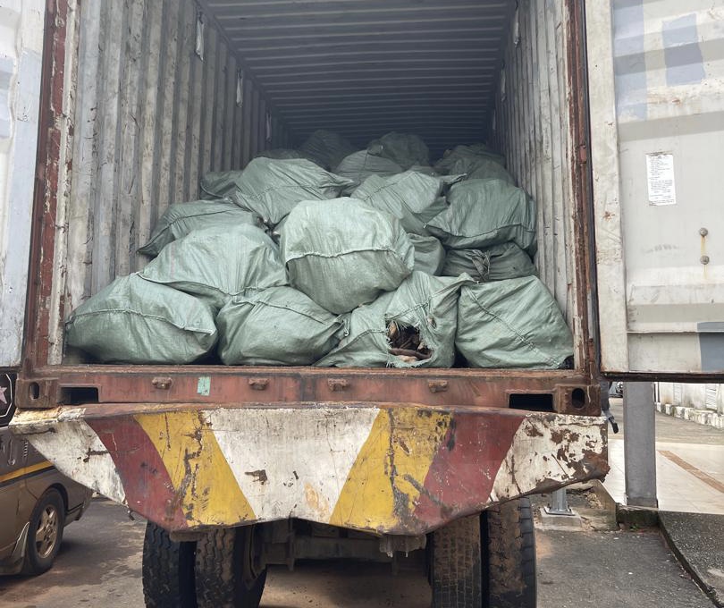 Inside the N3.6bn Donkey Skin Scandal Rocking Imo — Customs Sound Alarm ...