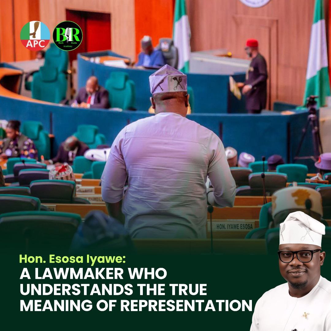 Hon. Esosa Iyawe: A Lawmaker Who Understands the True Meaning of ...