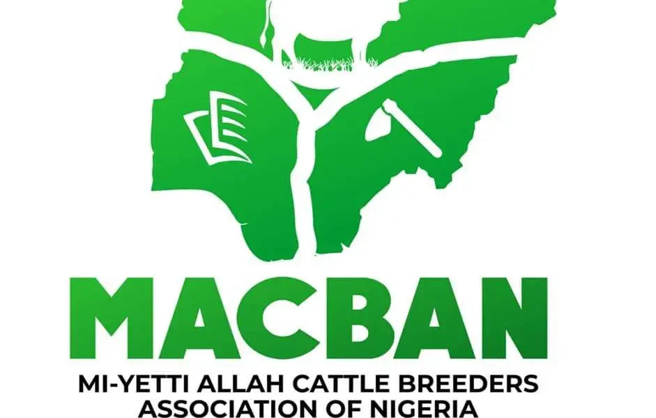 Gunmen Attack Fulani Herders In Plateau, Rustle 168 Cattle In Shocking ...