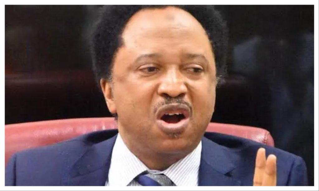 “Shehu Sani Urges Communities To Stay Alert: ‘Security Forces Can’t Be ...