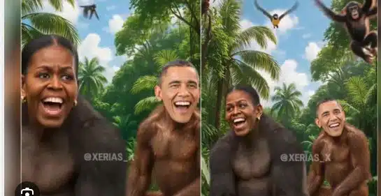 ‘Video Depicting Obamas As Monkeys Is Not A Mistake’ – Trump ...