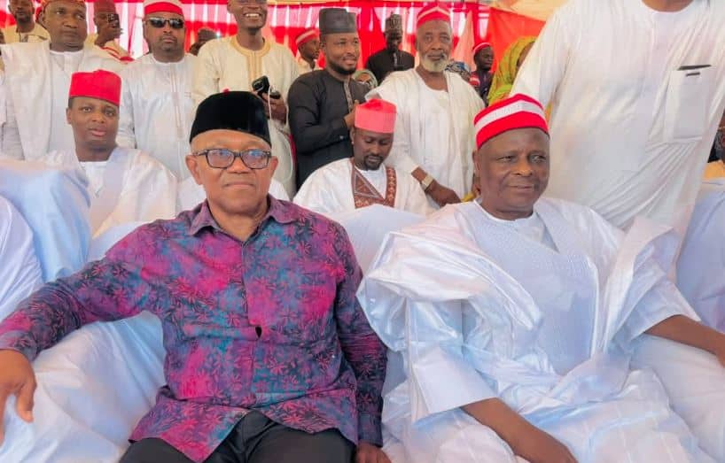 “2027: NNPP Says Public Announcement On Peter Obi-Kwankwaso Alliance ...